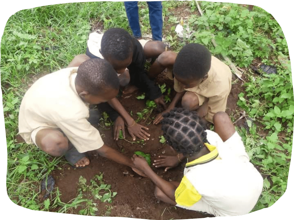 Testimonial from the NGO Future for Future (Benin) - All eco-citizens