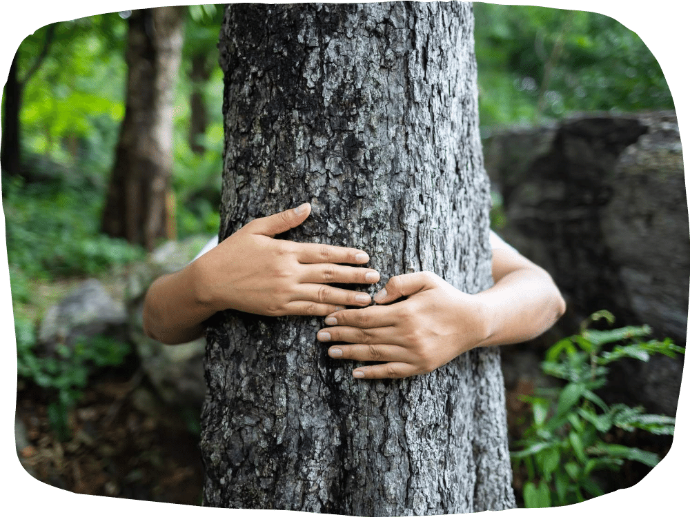 How to talk about the relationships between our health and a healthy ...