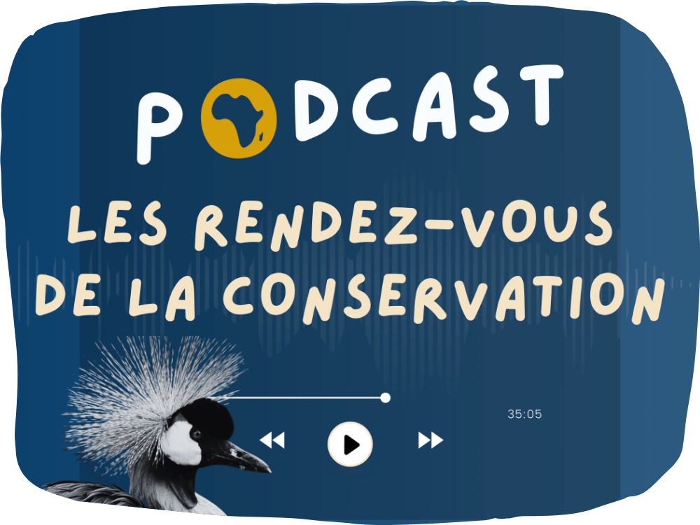 Lancement de la chaîne de podcasts "Les rendez-vous de la conservation ...