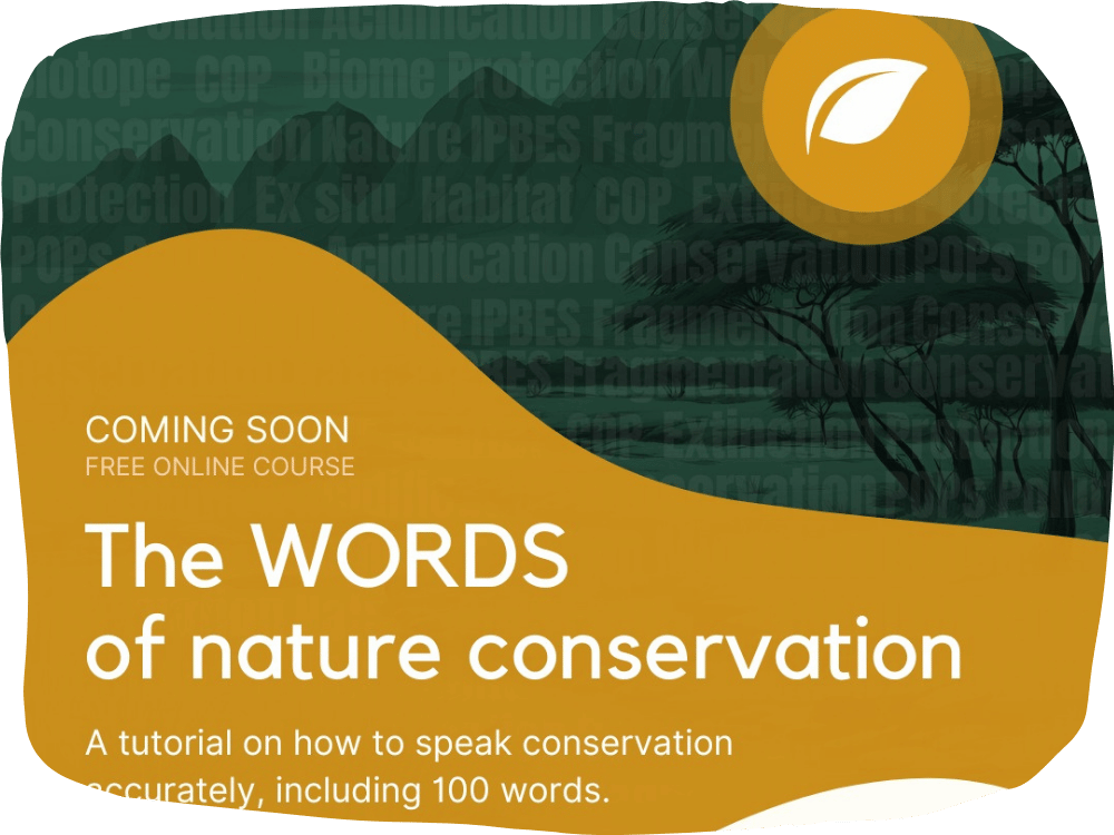 Launch of the tutorial “The words of conservation” - All eco-citizens