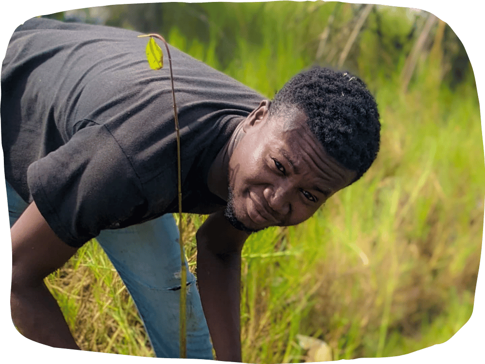 Mangrove Reforestation in Aného: A Step Closer to a Sustainable Future ...